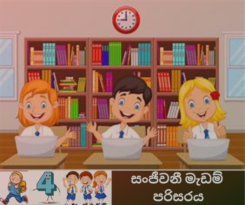 4 ශ්‍රේණිය - පරිසරය - ප්‍රශ්න පත්‍ර අංක 06 | A3BOOk