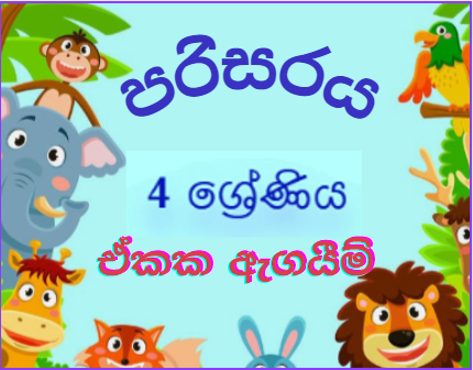 4 ශ්‍රේණිය | පරිසරය | ඒකක ඇගයීම් | 4 පාඩම | පැළෑටි හා ගස් වැල් | A3BOOk