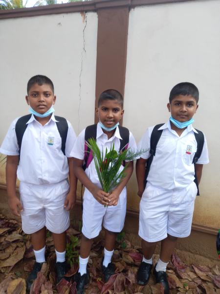 Risija mansana samarakkodi | A3BOOk